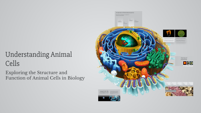 Understanding Animal Cells by Academic Coordinator CSE on Prezi