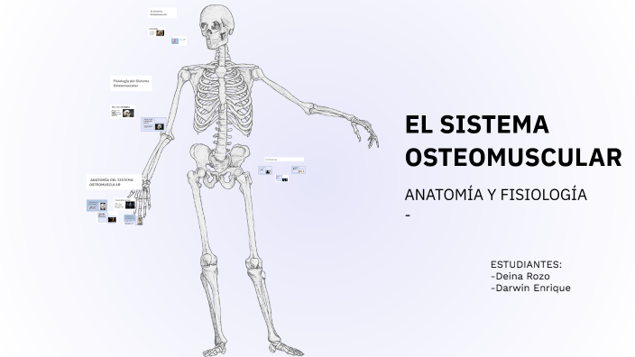 EL SISTEMA OSTEOMUSCULAR by ruby rozo on Prezi