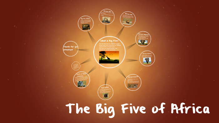 The Big Five of Africa by Rafaela Gusson on Prezi