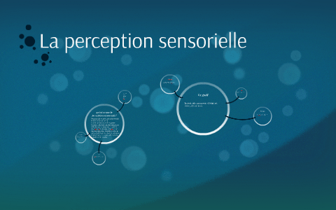 La perception sensorielle by Nabil Visanji on Prezi