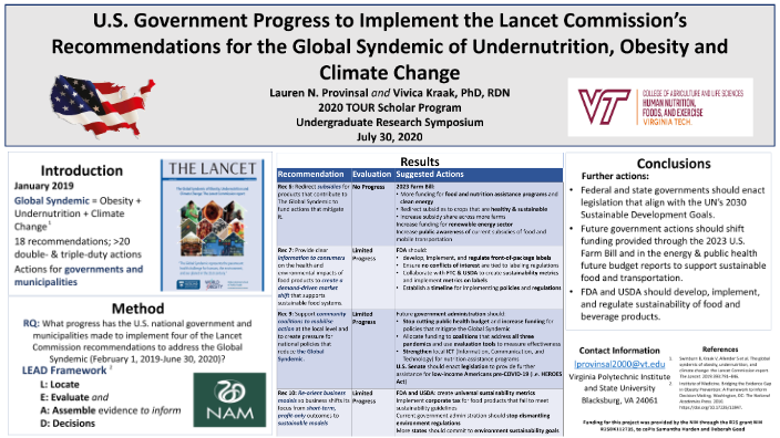 U.S. Government Progress to Implement the Lancet Commission’s ...