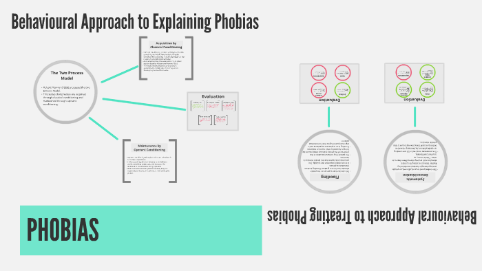 Behavioural Approach to Phobias by Rachel D on Prezi
