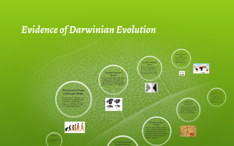 Evidence of Darwinian Evolution by Allison Farrell on Prezi