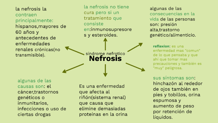 Nefrosis by paula bravo caro on Prezi