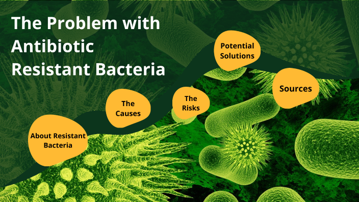 Unit 3 Project: Evolution of Antibiotic Resistant Bacteria by Allison Lowe