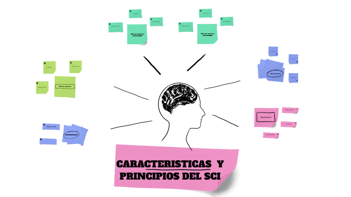 CARACTERÍSTICAS Y PRINCIPIOS DEL SCI by José Jumbo Narváez on Prezi