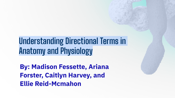 Understanding Directional Terms in Anatomy and Physiology by Ellie Reid ...