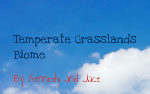 Temperate Grassland - Biomes Science Project by Jace Morrison on Prezi