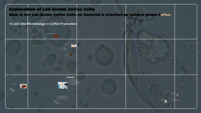 Exploring Lab-Grown Coffee Cells by Denise Ruiz Lopez on Prezi