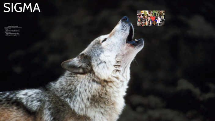 SIGMA Nation by Aaliyah Miramontes on Prezi