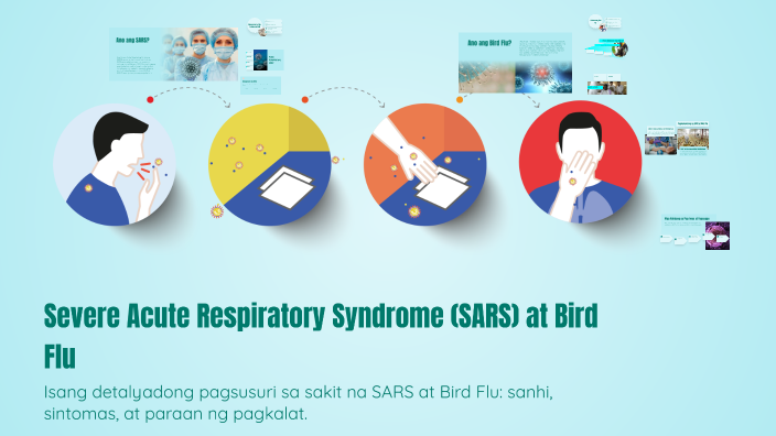 Severe Acute Respiratory Syndrome (SARS) at Bird Flu by jonah ren on Prezi