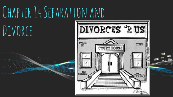 Chapter 14 Separation and Divorce by Steven Stevens on Prezi