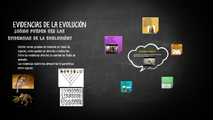 EVIDENCIAS DE LA EVOLUCIÓN by grupo biologia on Prezi