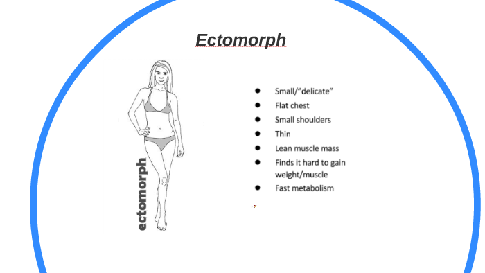 Women Body Types & Proportions by Marisol Martinez on Prezi