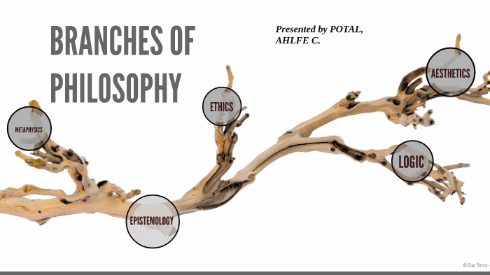 Branches of Philo by Ahlfe Potal on Prezi