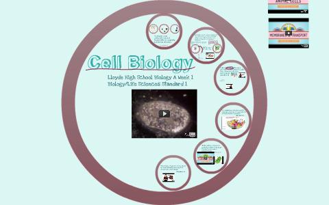 Cell Biology by Jami Bebout on Prezi