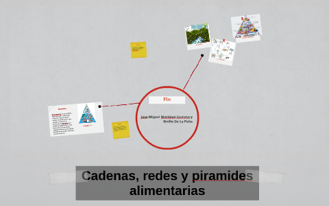 Cadenas, redes y piramides alimentarias by Jose Miguel Martinez on Prezi