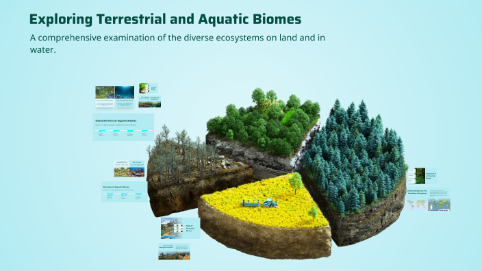 Exploring Terrestrial and Aquatic Biomes by CLARICE BISANA on Prezi