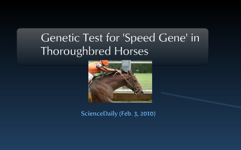 The 'speed gene' in thoroughbred horses by Mindy Schneider on Prezi