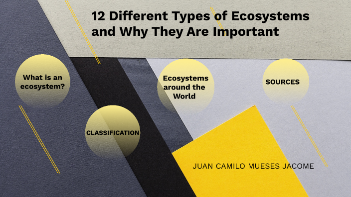 12 Different Types of Ecosystems and Why They Are Important by Camilo ...
