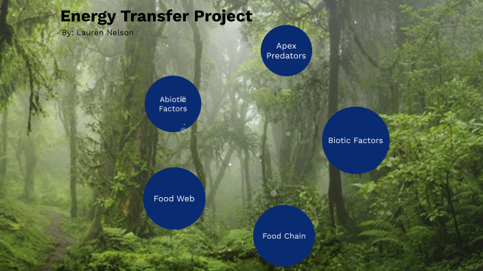 Energy Transfer Project by Lauren Nelson on Prezi