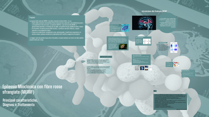 Epilessia Mioclonica e Sindrome MERRF by christian santoro on Prezi