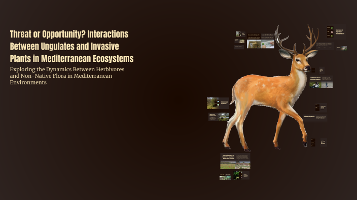 Threat or Opportunity? Interactions Between Ungulates and Invasive ...
