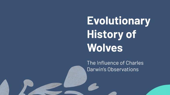 Evolutionary History of Wolves by lapreesha gray on Prezi