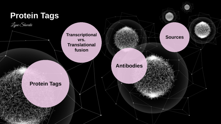 Protein Tags by Lyne Shweiki on Prezi