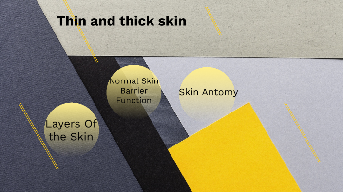 Thin and thick skin by Mina Nader on Prezi