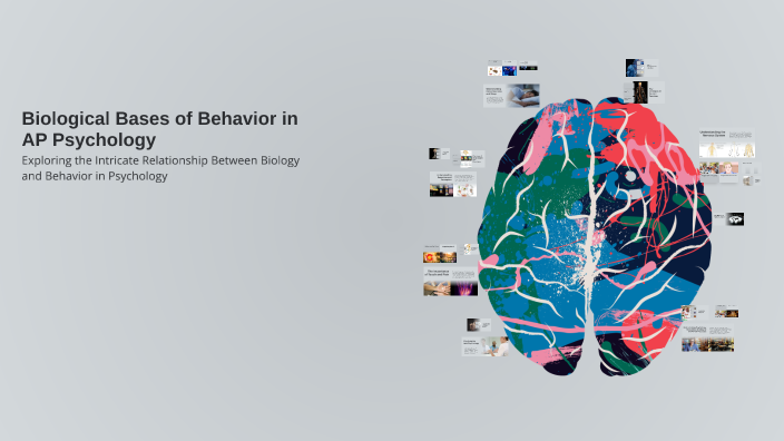Biological Bases of Behavior in AP Psychology by Ava DePew on Prezi