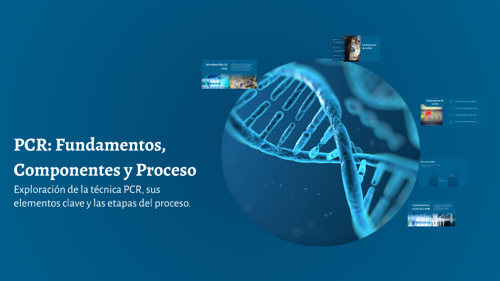 PCR: Fundamentos, Componentes y Proceso by astrid cielo pacheco viguria ...