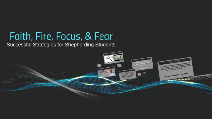 Faith, Fire, Focus, & Fear (Successful Strategies for Sherpherding ...