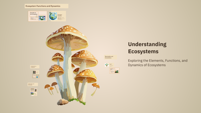 Understanding Ecosystems by Abdelhakim zahran on Prezi