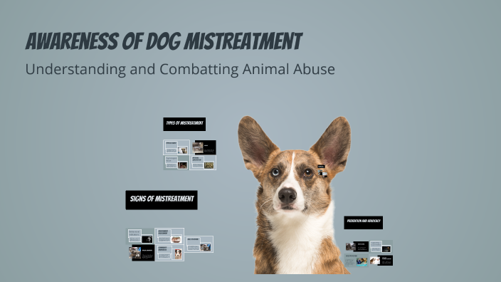 Awareness of Dog Mistreatment by Ariana Nunez on Prezi