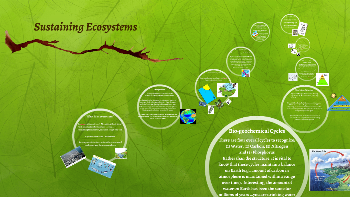 wonderful Ecosystems...all the things to know by Fred Stride on Prezi