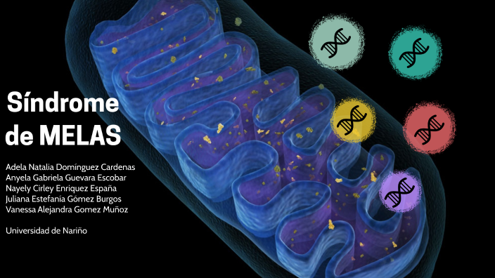 sindrome de melas by Vanessa Alejandra Gomez Muñoz on Prezi