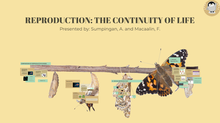 Reproduction: Continuity of Life by Fatma Macaalin on Prezi