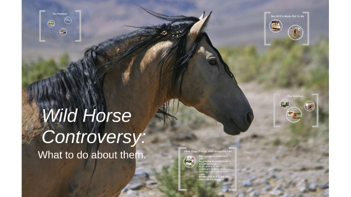 Wild Horse controversy: by Kaylee Barrus on Prezi