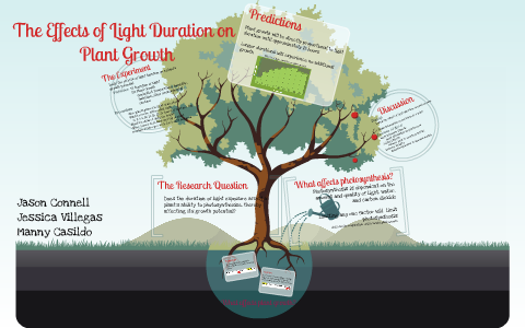Light Duration and Photosynthesis by Jason Connell on Prezi