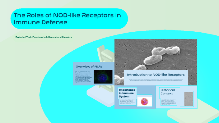 The Roles of NOD-like Receptors in Immune Defense by Borhan kabir on Prezi