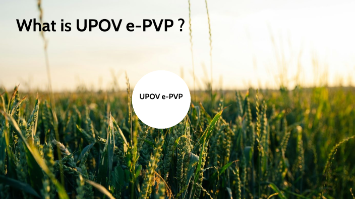 What is UPOV e-PVP ? (2024) by UPOV PREZI on Prezi