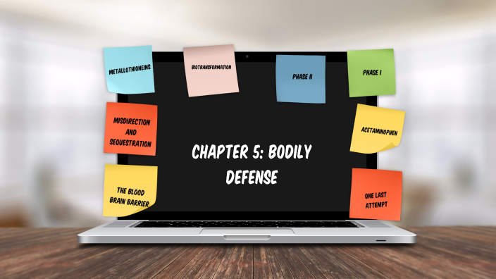 Chapter 5 Bodily Defense by Kennedy Keister on Prezi