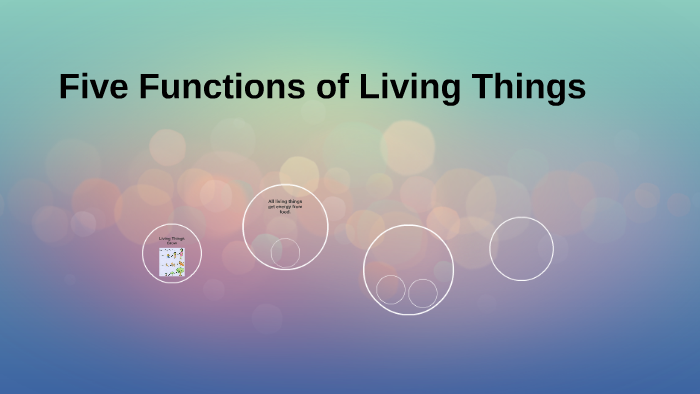 Five Functions of Living Things by ja ca