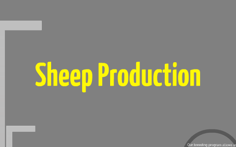 Sheep Production by Baylee Tanner on Prezi