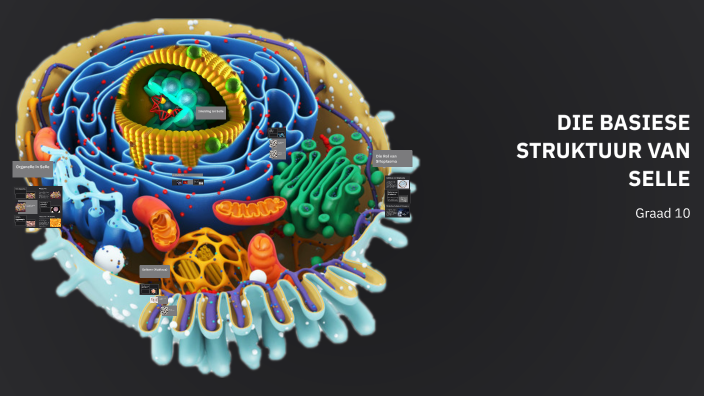 DIE BASIESE STRUKTUUR VAN SELLE by Mienke Visser on Prezi