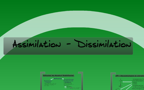 Assimilation und Dissimilation by Pia Droste on Prezi