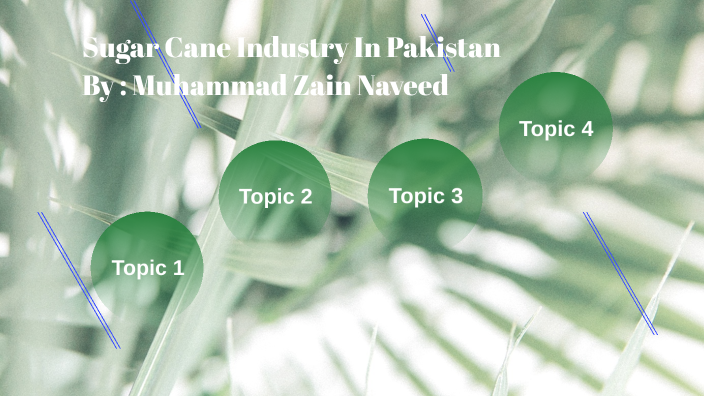 Sugar Cane Industry In Pakistan by Zain Naveed on Prezi