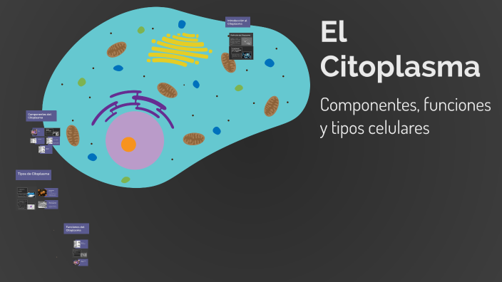 El Citoplasma by Rosa maria Yesquen rascon on Prezi