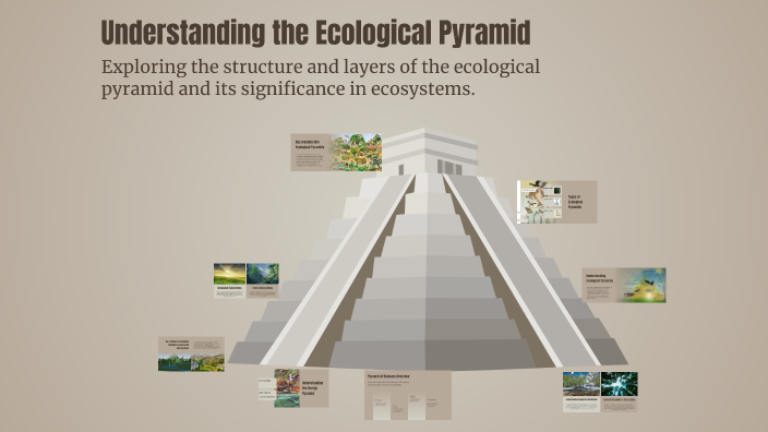 Understanding the Ecological Pyramid by riyanshi dahiya on Prezi